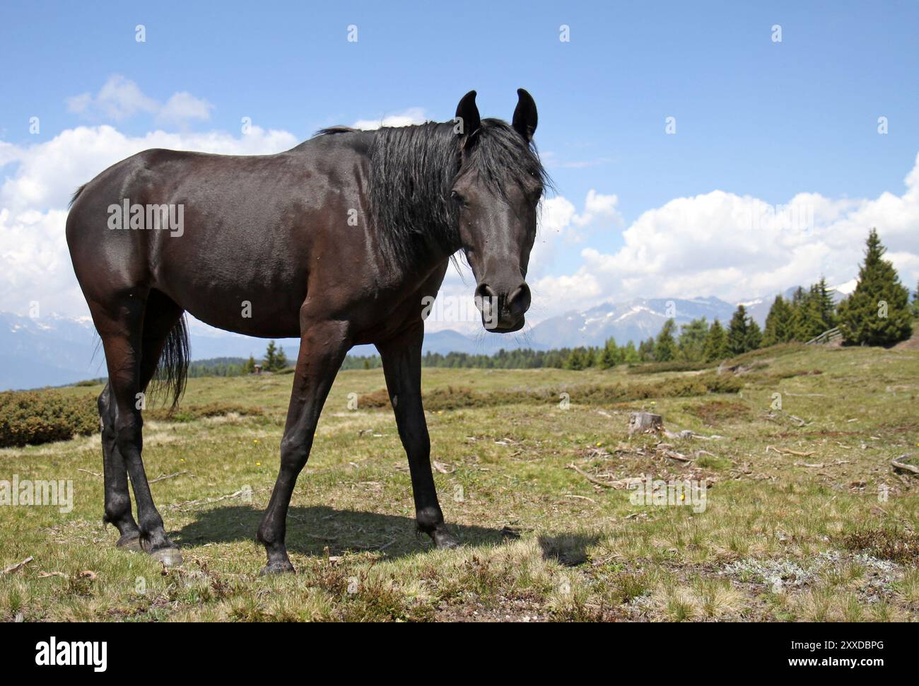 Alto mare hi-res stock photography and images - Alamy