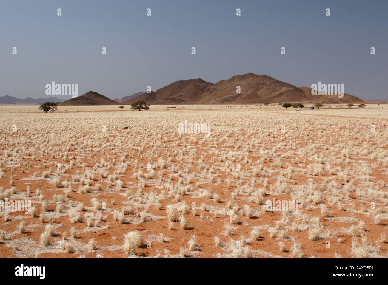 Landscape in Namibia Stock Photo - Alamy