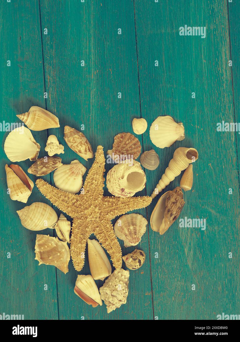 Heart shape of shells and a starfish on a blue vintage wooden ...