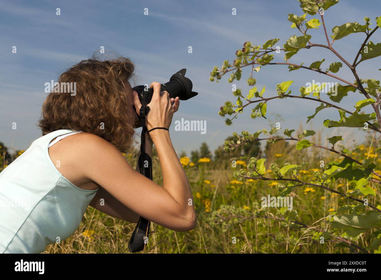 Single person taking photographs hi-res stock photography and images ...