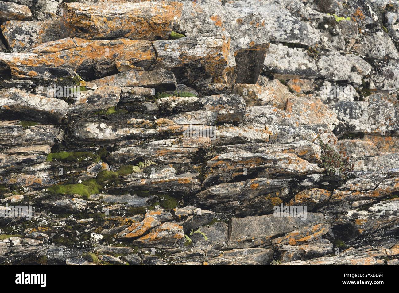 Textured basalt background thin stone fibers in the cut. natural ...