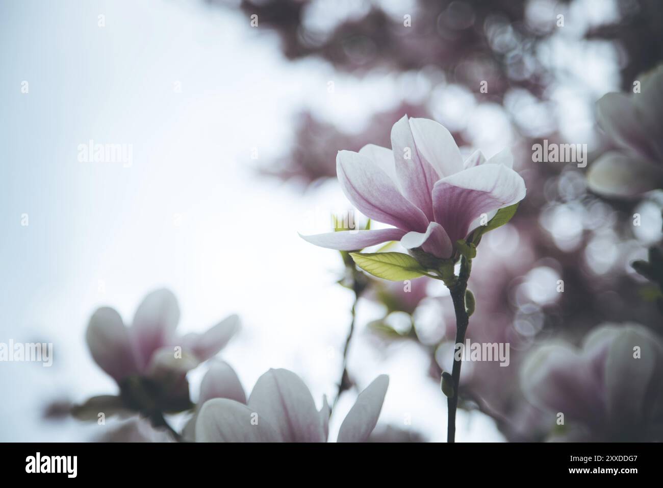 Beautiful love text colors hi-res stock photography and images - Alamy
