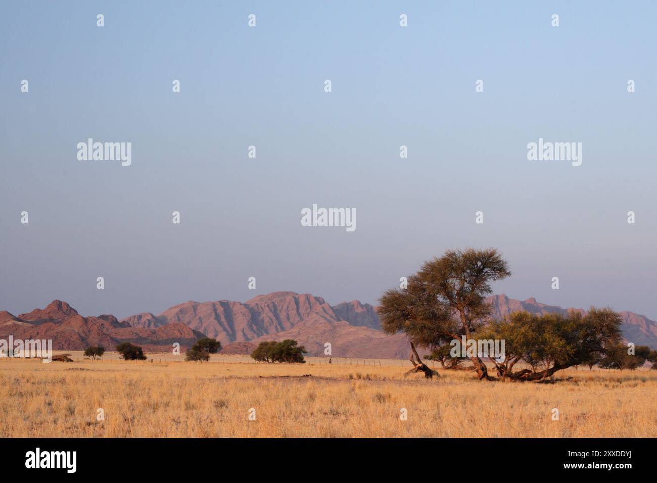 Landscape in Namibia, landscape in Namibia Stock Photo - Alamy