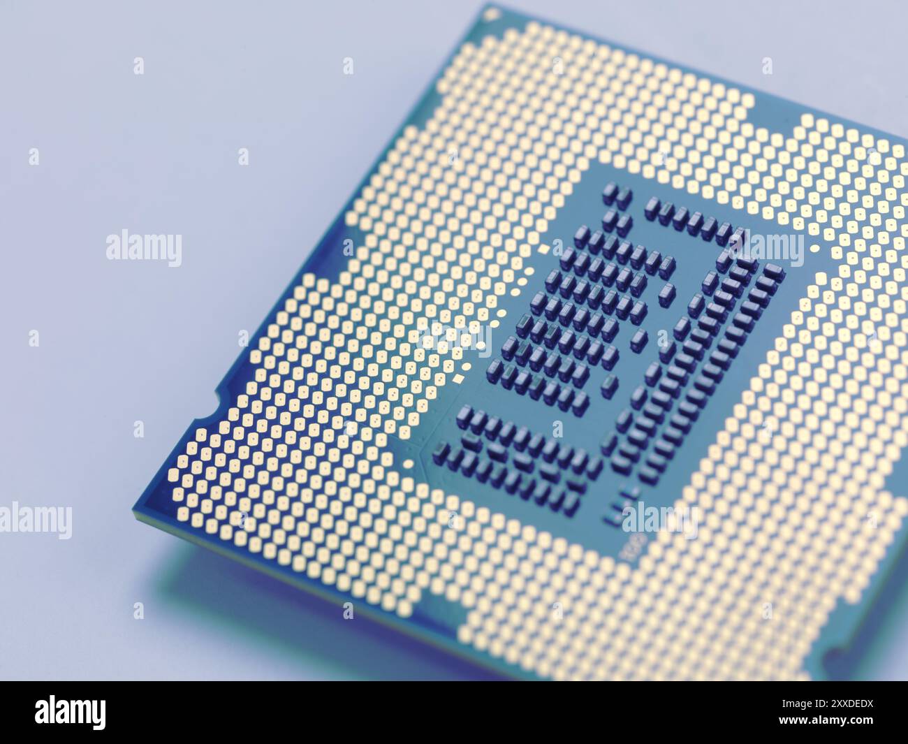 Intel i7 processor gold contacts CPU socket circuit isolated on blue ...
