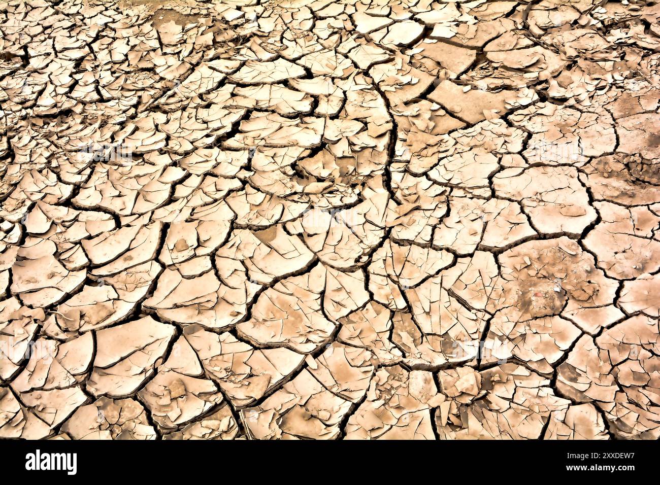 Dried out soil Stock Photo - Alamy