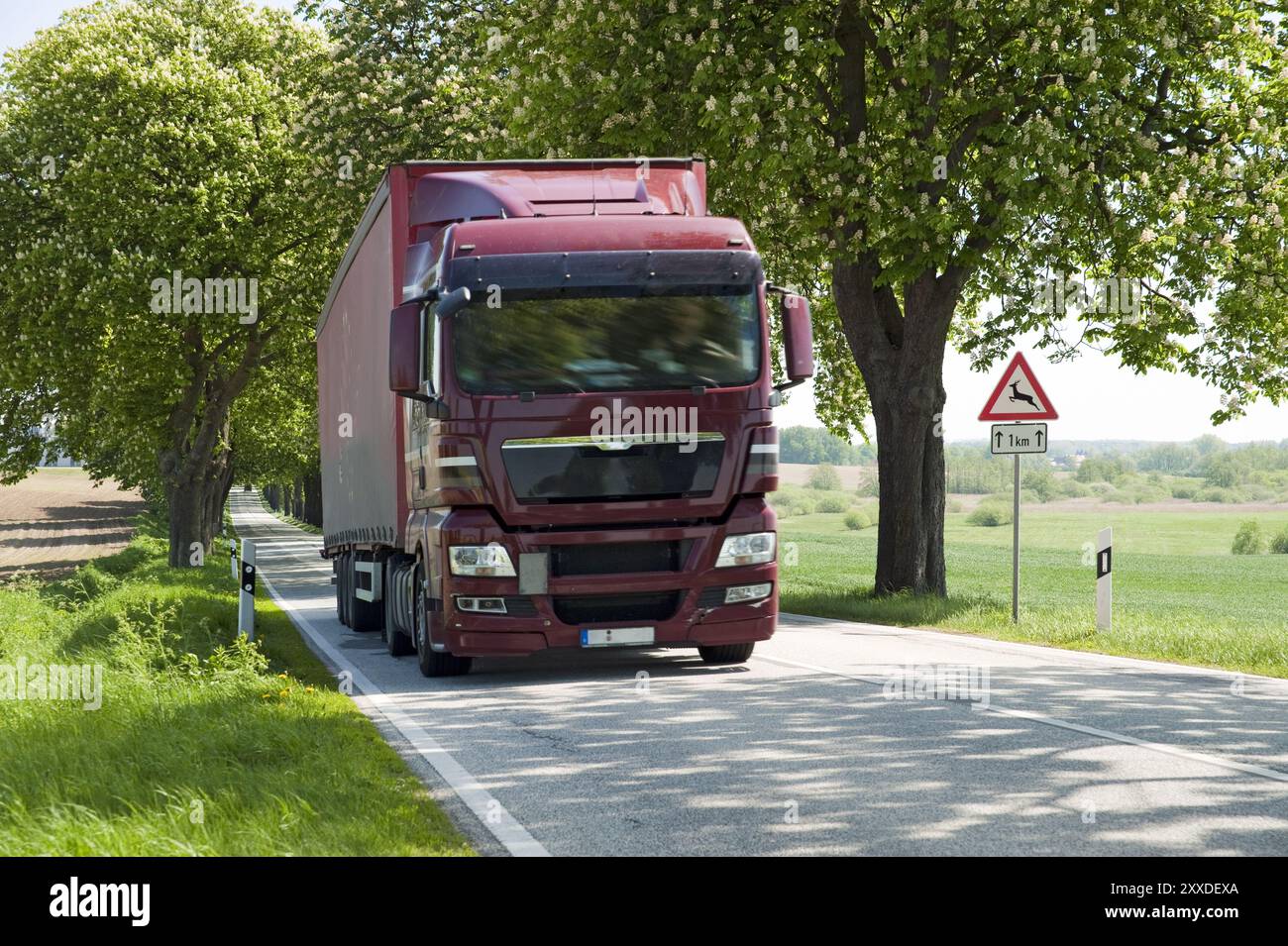 Red lorry drives along an avenue of chestnut trees Stock Photo - Alamy