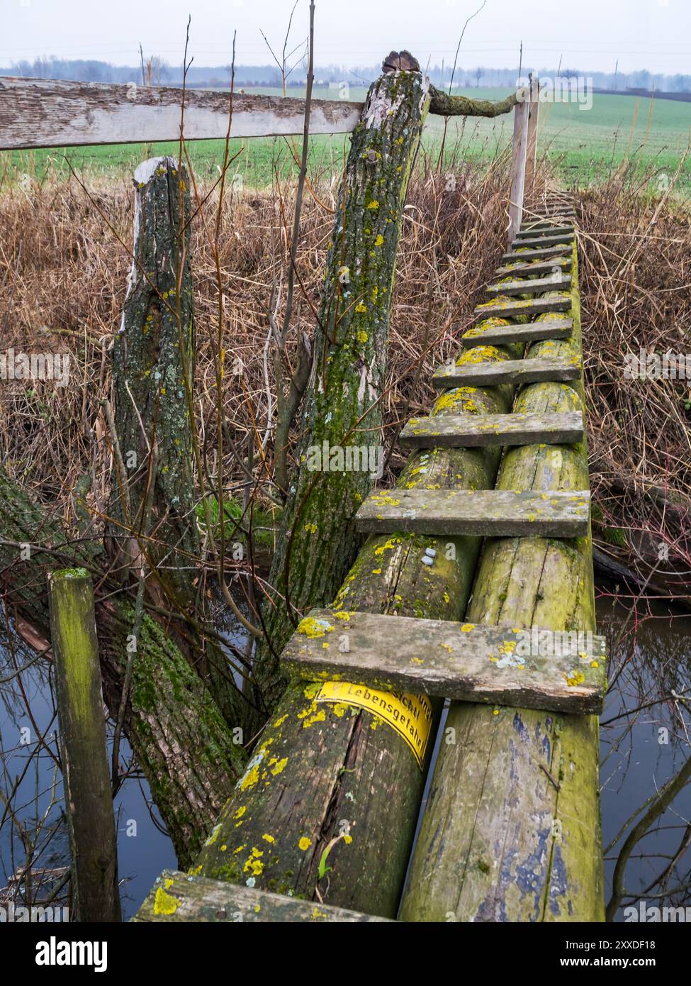 Small bridge over stream Stock Photo - Alamy