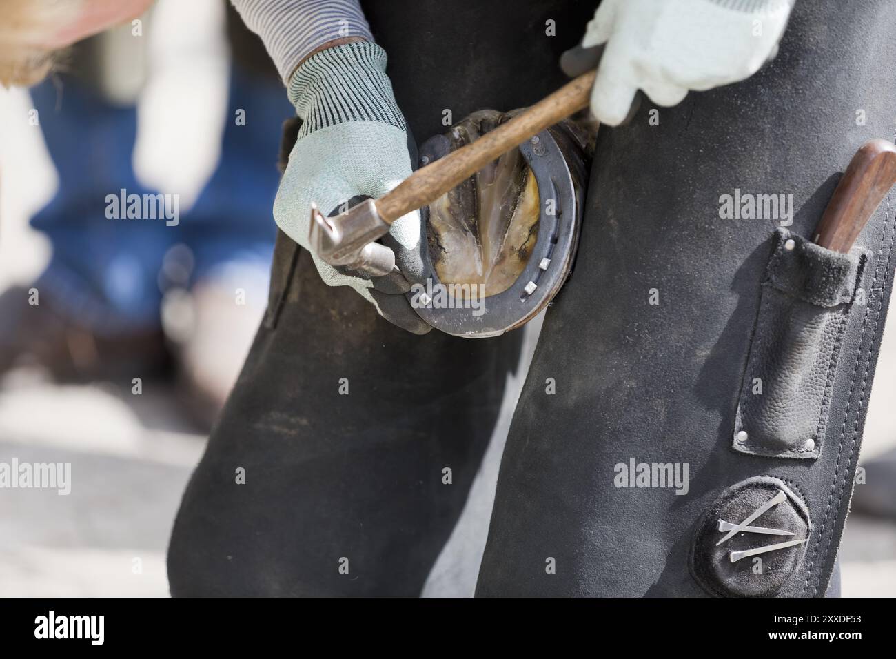 Farrier shoes a horse Stock Photo - Alamy