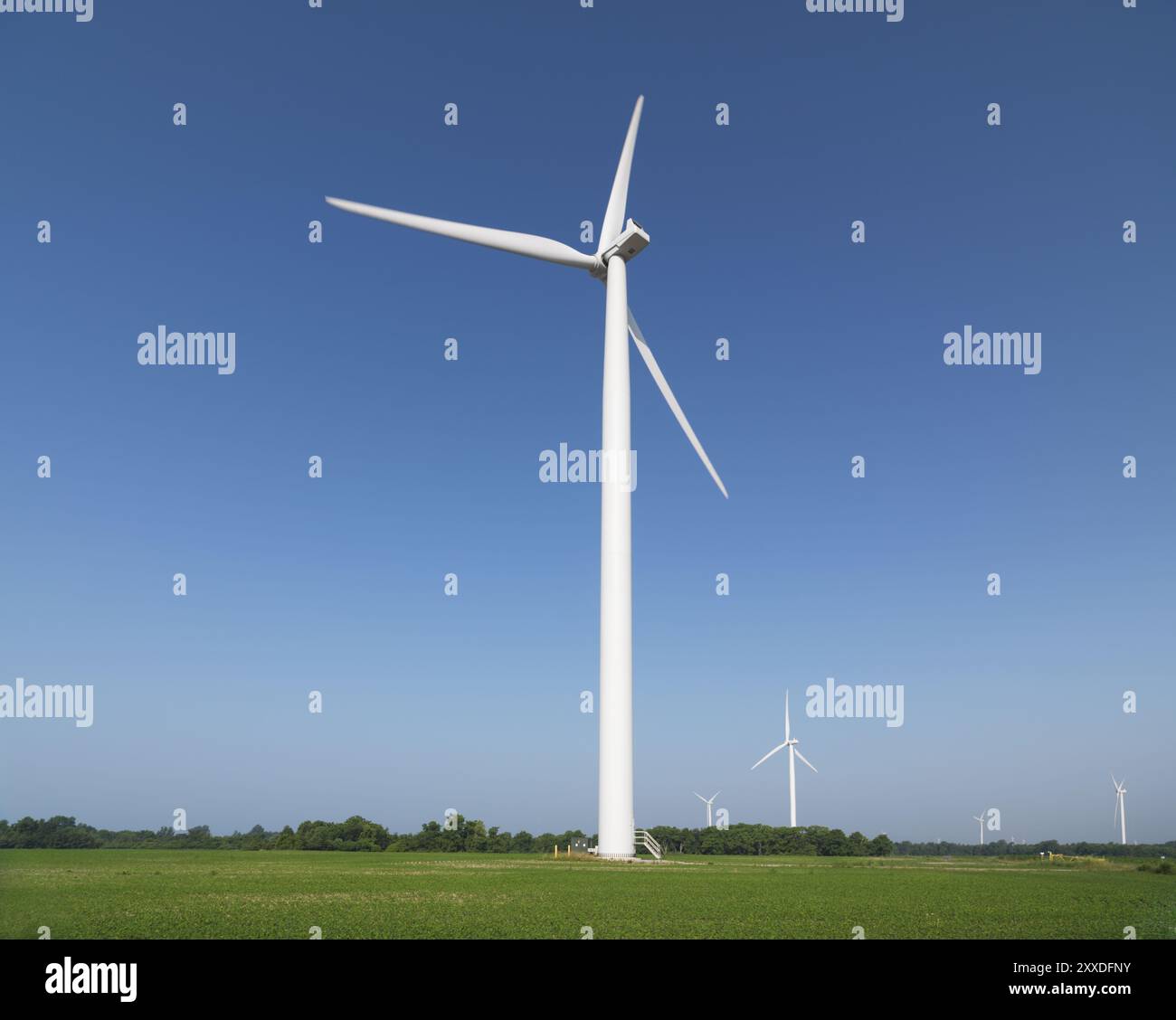 Wind turbine generators in a green field. Southern Ontario, Canada ...