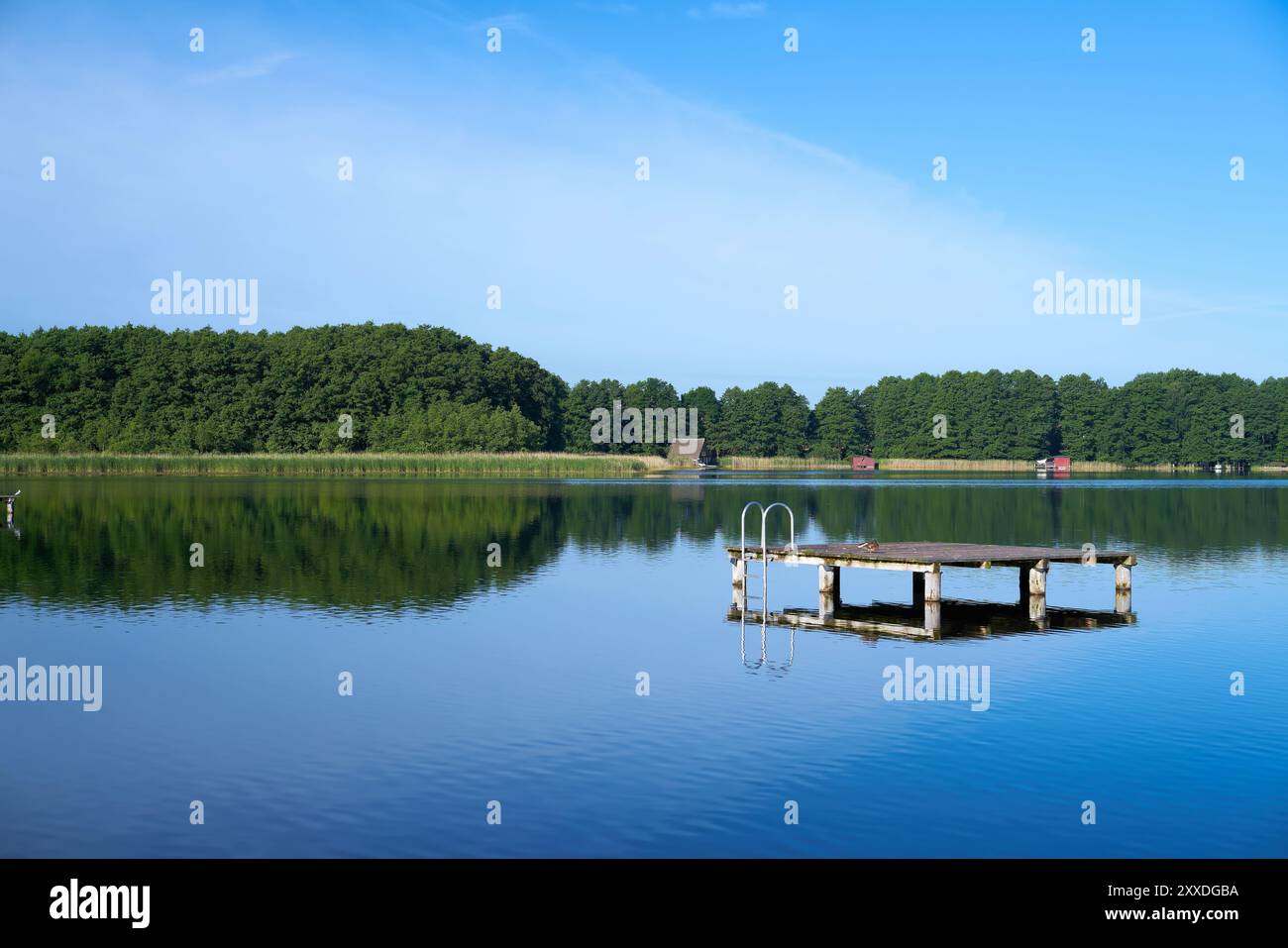 At a lake near Granzow in the M Stock Photo - Alamy
