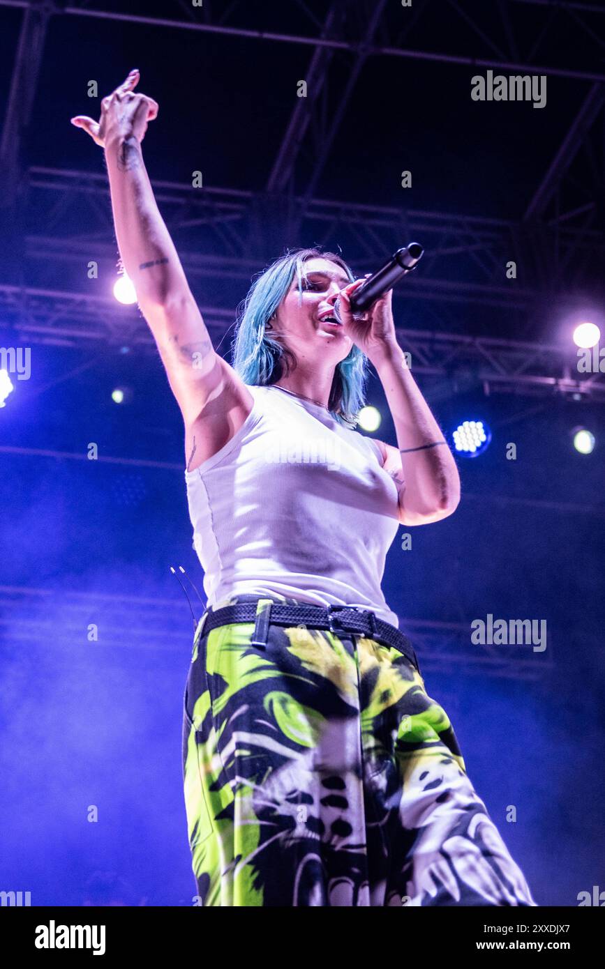 Rose Villain (Rosa Luini Stock Photo - Alamy