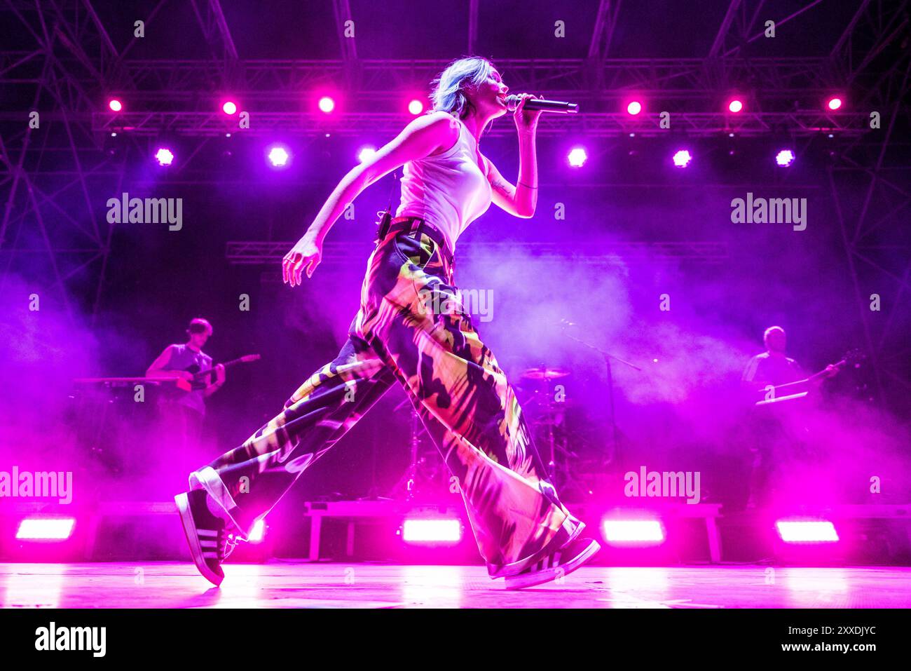 Rose Villain (Rosa Luini Stock Photo - Alamy