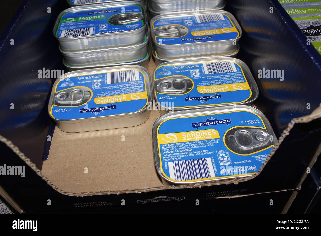 ALDI Northern Catch Sardines in Cans closeup on a shelf Stock Photo - Alamy