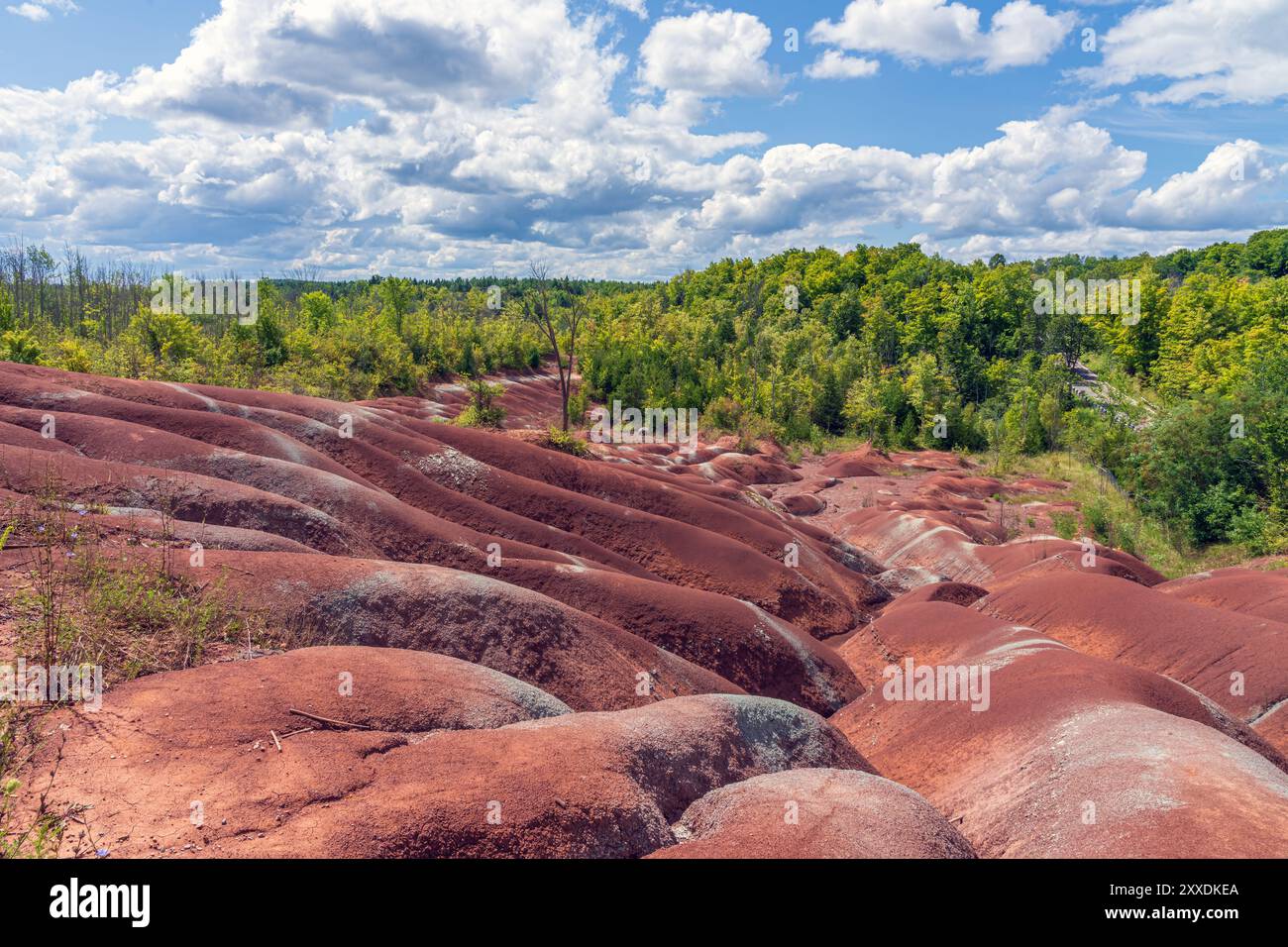 Queenston shale hi-res stock photography and images - Alamy