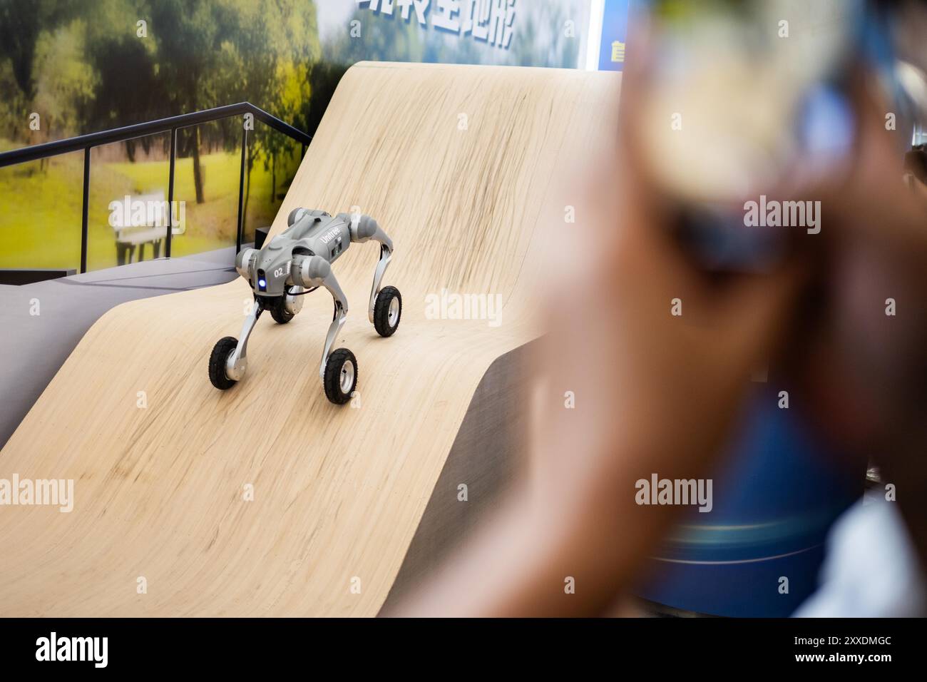 The 2024 World Robot Conference opens in Beijing, China, 21 August ...