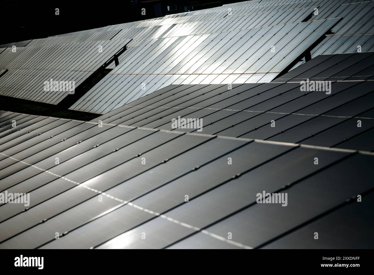 Islamabad, Pakistan. 21st Aug, 2024. Textile factory Kohinoor Textile ...