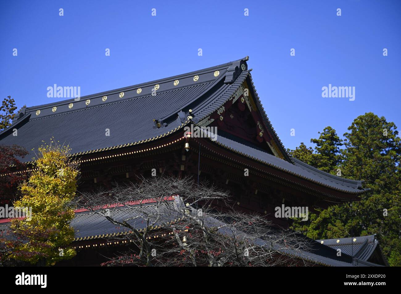 Landscape with scenic view of Futarasan jinja a historic religious ...