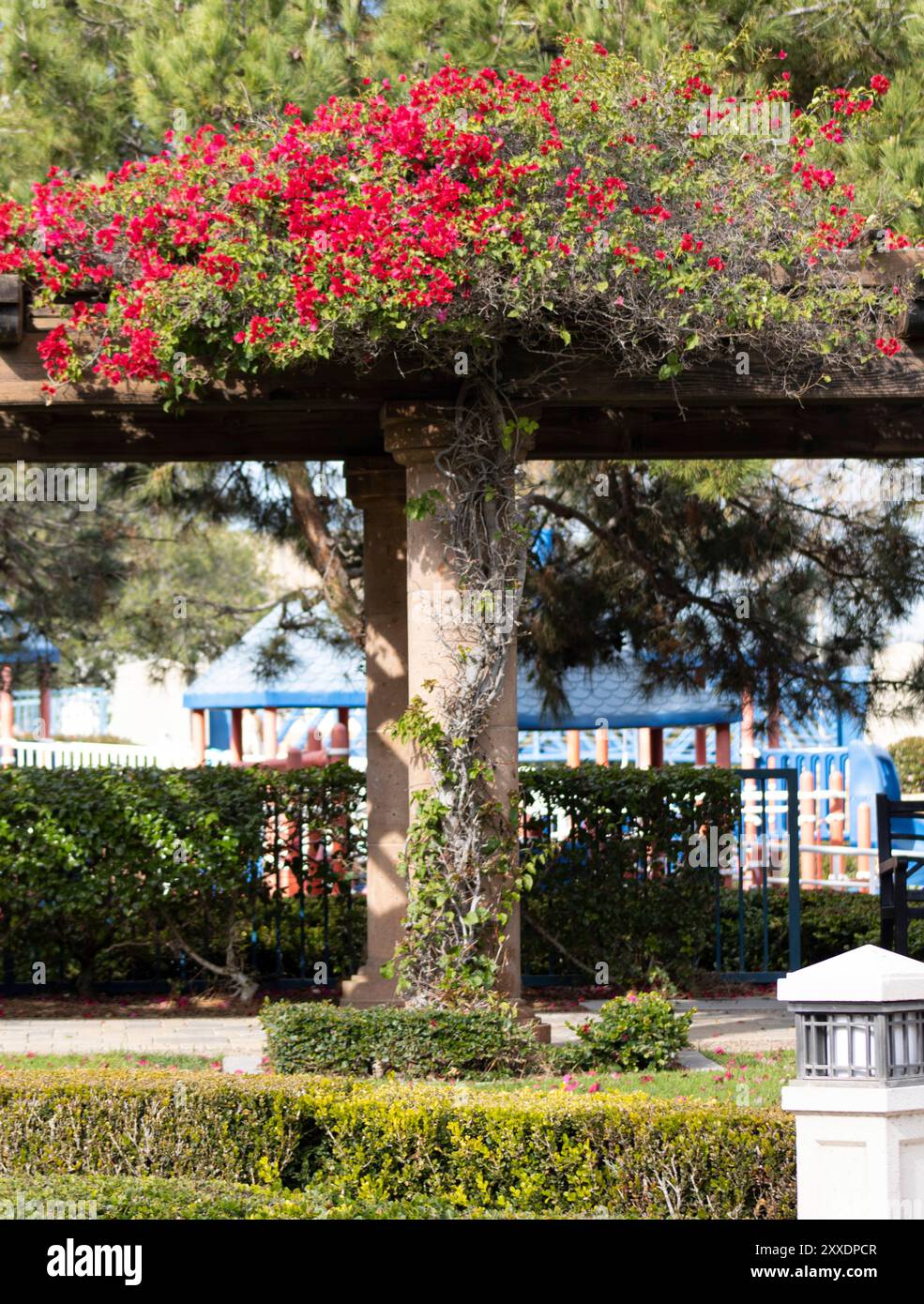 columns lining pathway in garden with pink flowers Stock Photo - Alamy