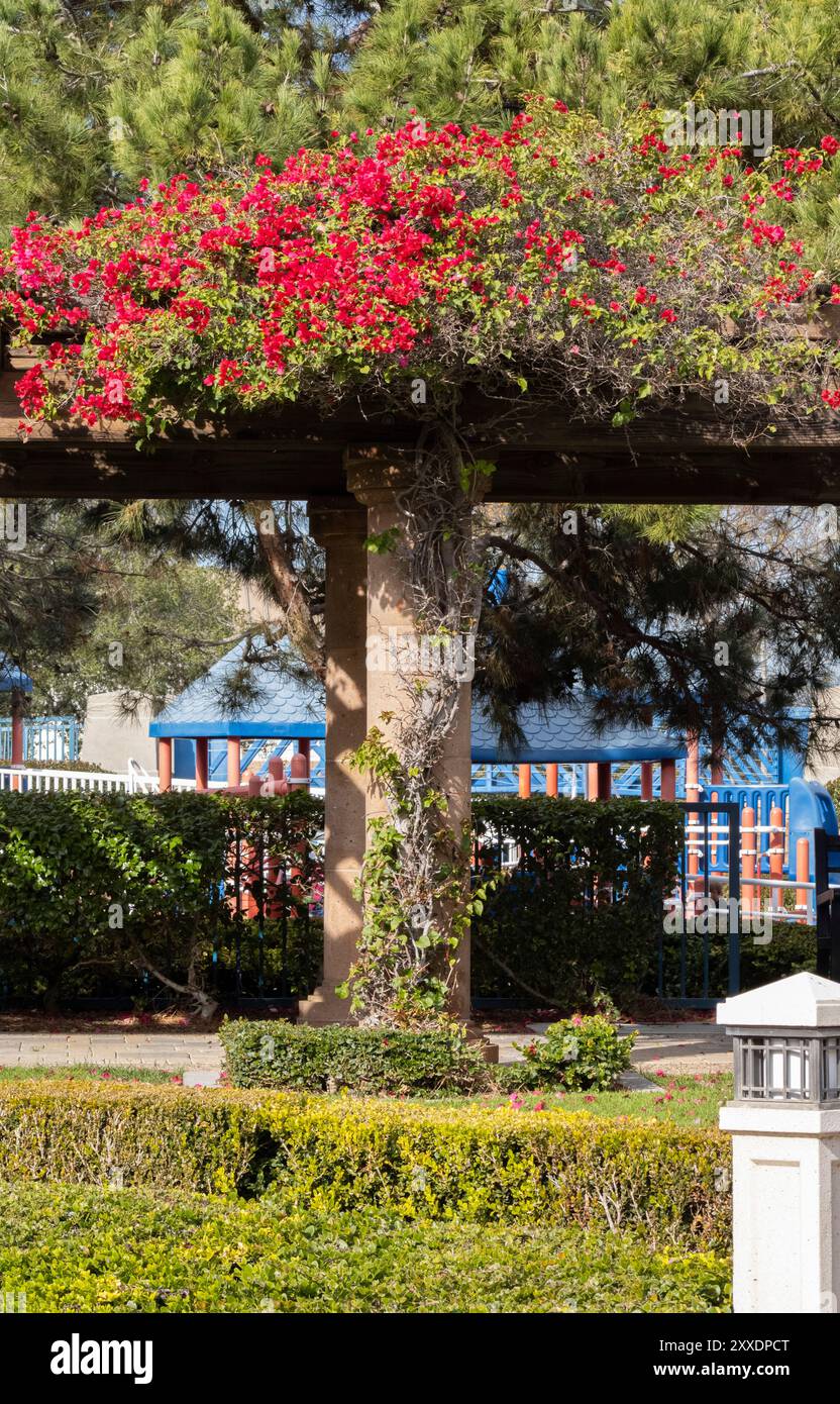 columns lining pathway in garden with pink flowers Stock Photo - Alamy