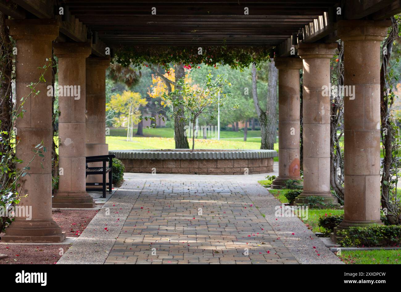 columns lining pathway in garden with pink flowers Stock Photo - Alamy