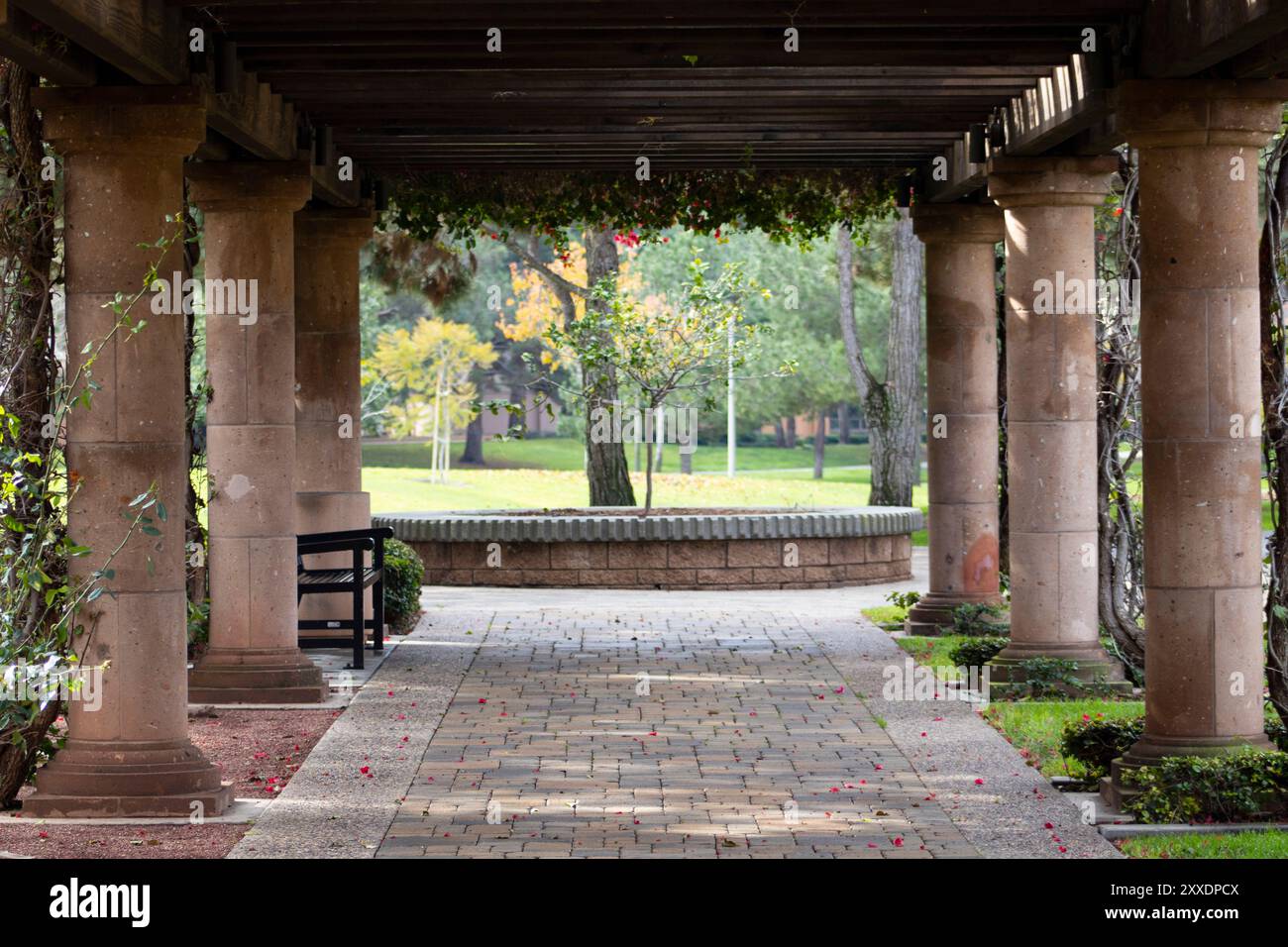 columns lining pathway in garden with pink flowers Stock Photo - Alamy