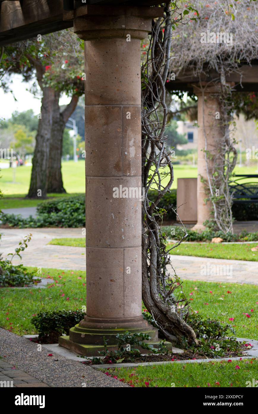 columns lining pathway in garden with pink flowers Stock Photo - Alamy
