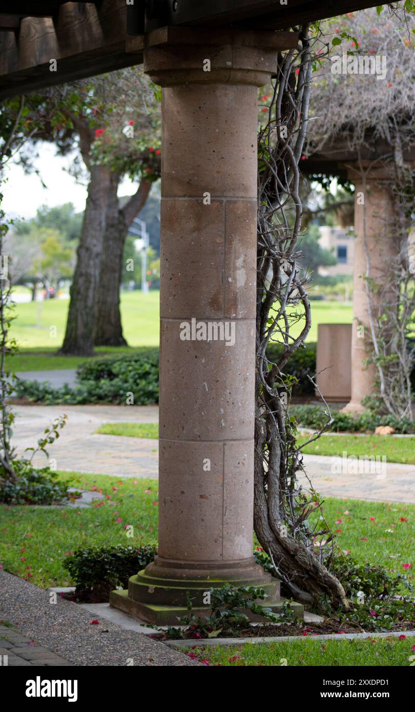 columns lining pathway in garden with pink flowers Stock Photo - Alamy