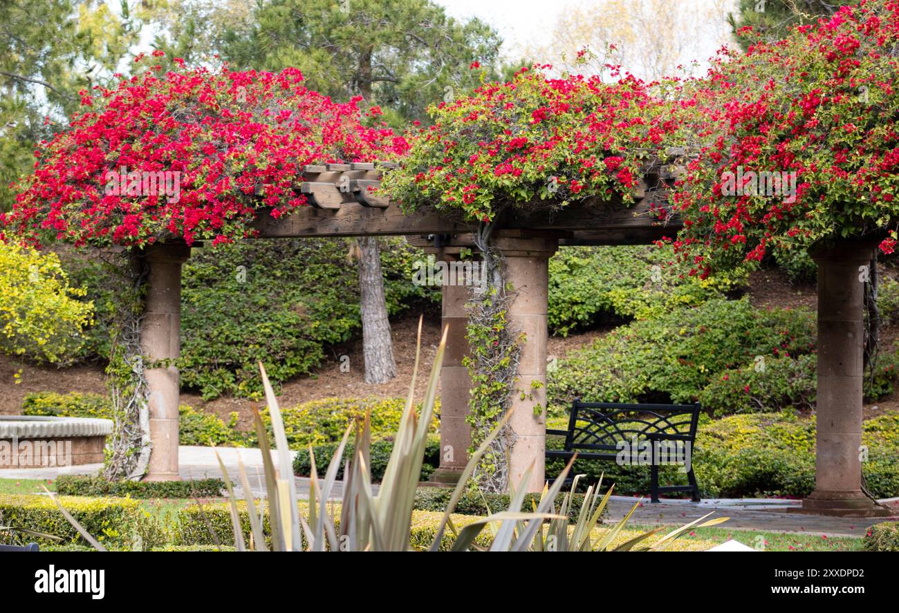 columns lining pathway in garden with pink flowers Stock Photo - Alamy