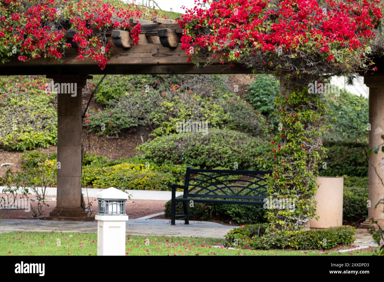 columns lining pathway in garden with pink flowers Stock Photo - Alamy