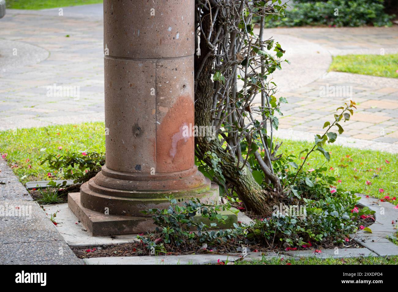columns lining pathway in garden with pink flowers Stock Photo - Alamy