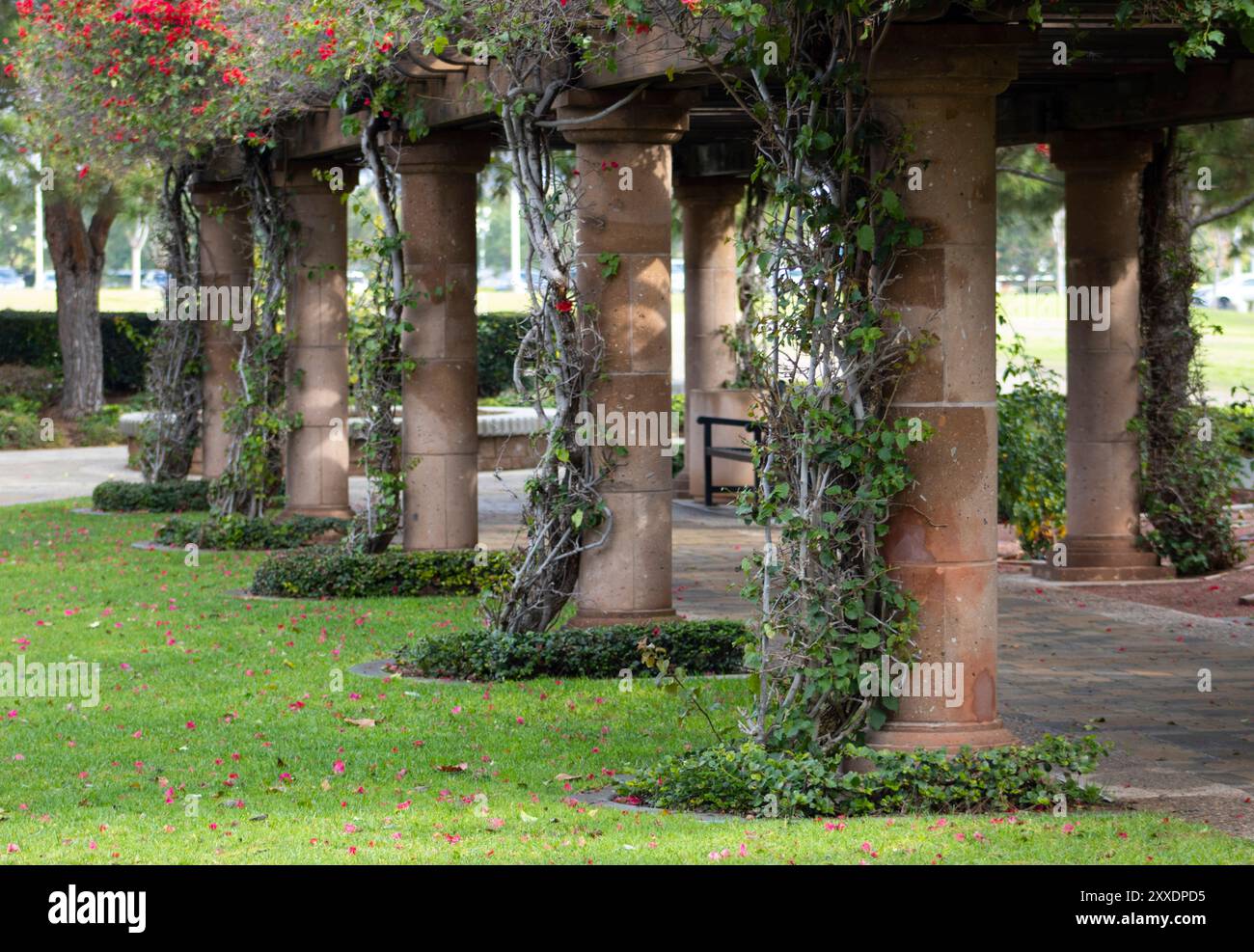 columns lining pathway in garden with pink flowers Stock Photo - Alamy