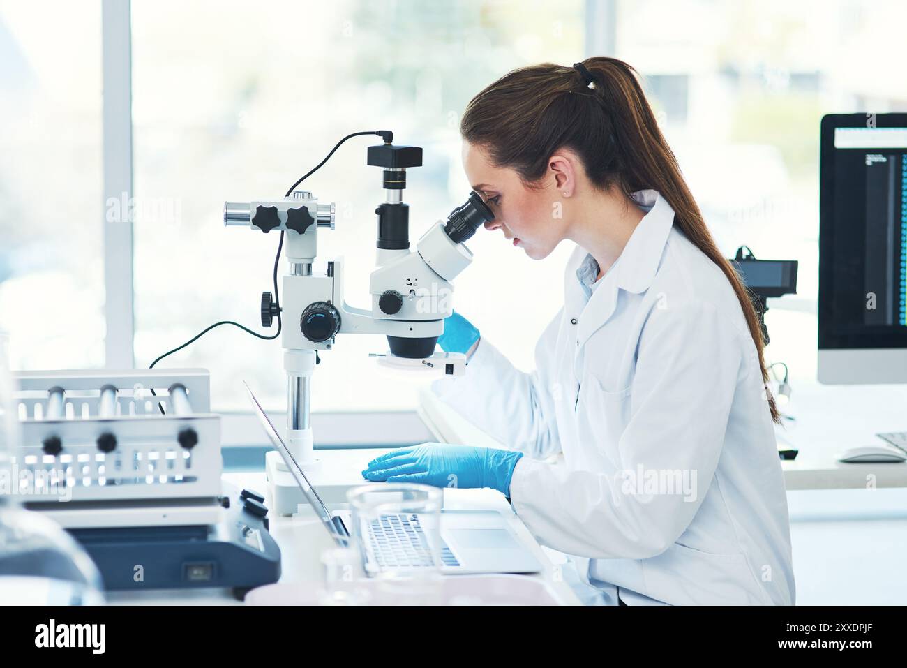 Woman, research and microscope at laboratory for bacteria with medical ...
