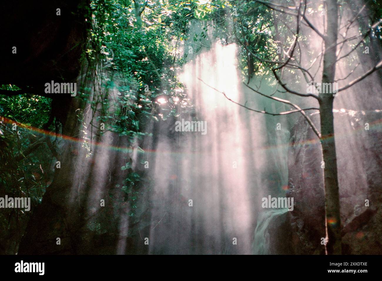 Carbon garden hi-res stock photography and images - Alamy