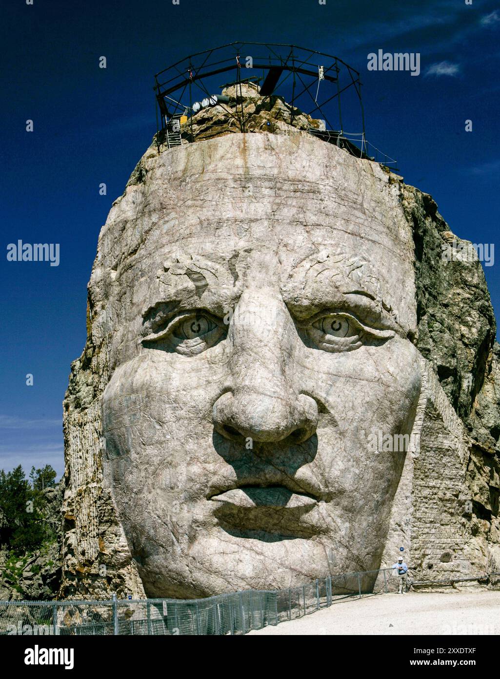 Crazy horse hi-res stock photography and images - Alamy