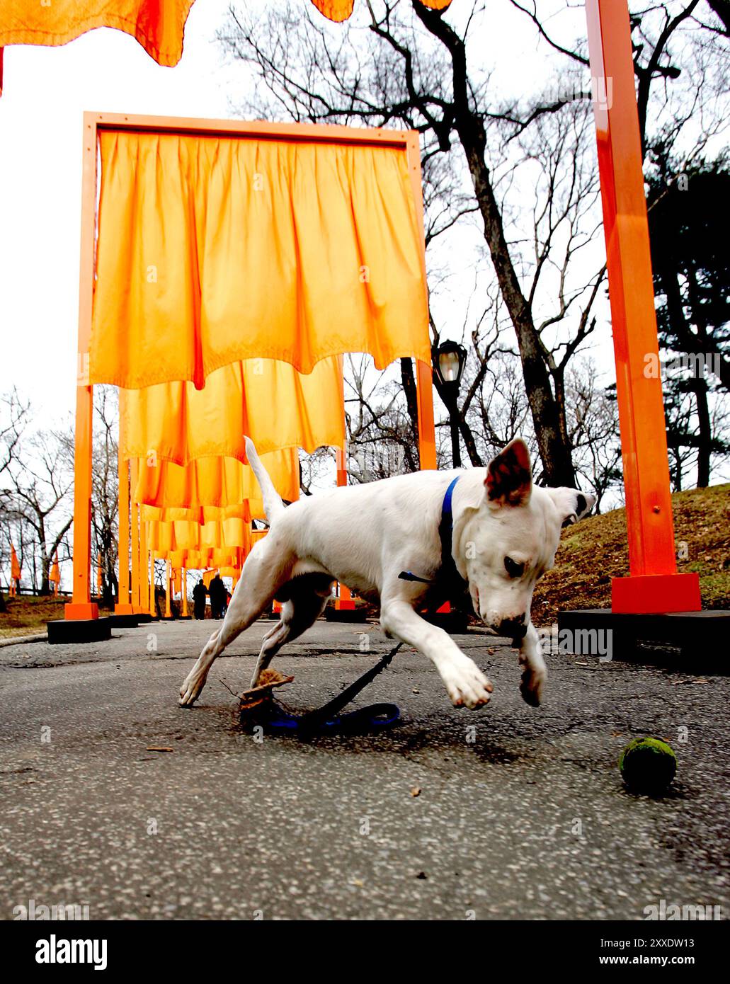 Christo and Jeanne- Claude's installation "The Gates" in Central Park ...