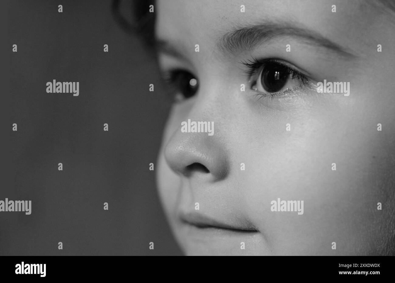 Portrait of little boy. Concept of kids face close-up. Head shoot ...