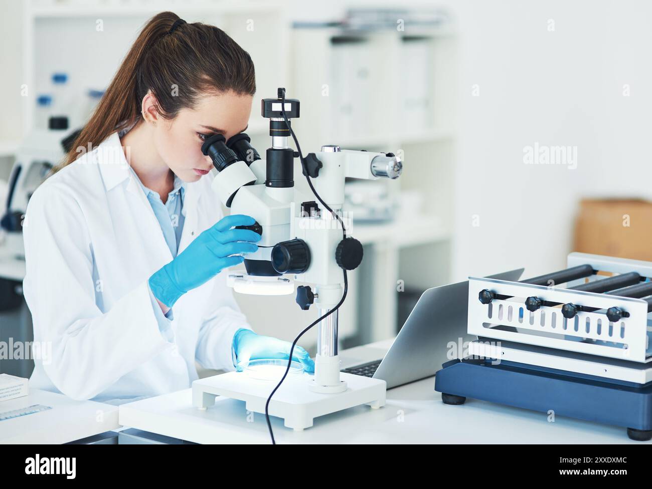 Science, research and woman with microscope in laboratory for sample ...