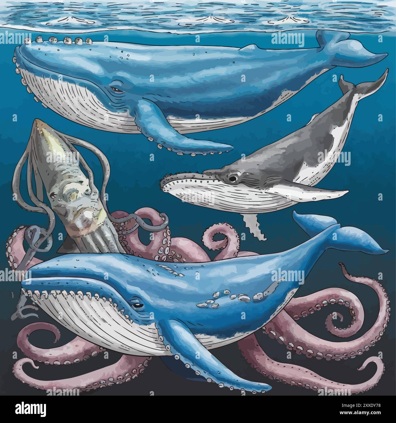 Underwater Sea Creatures Drawings