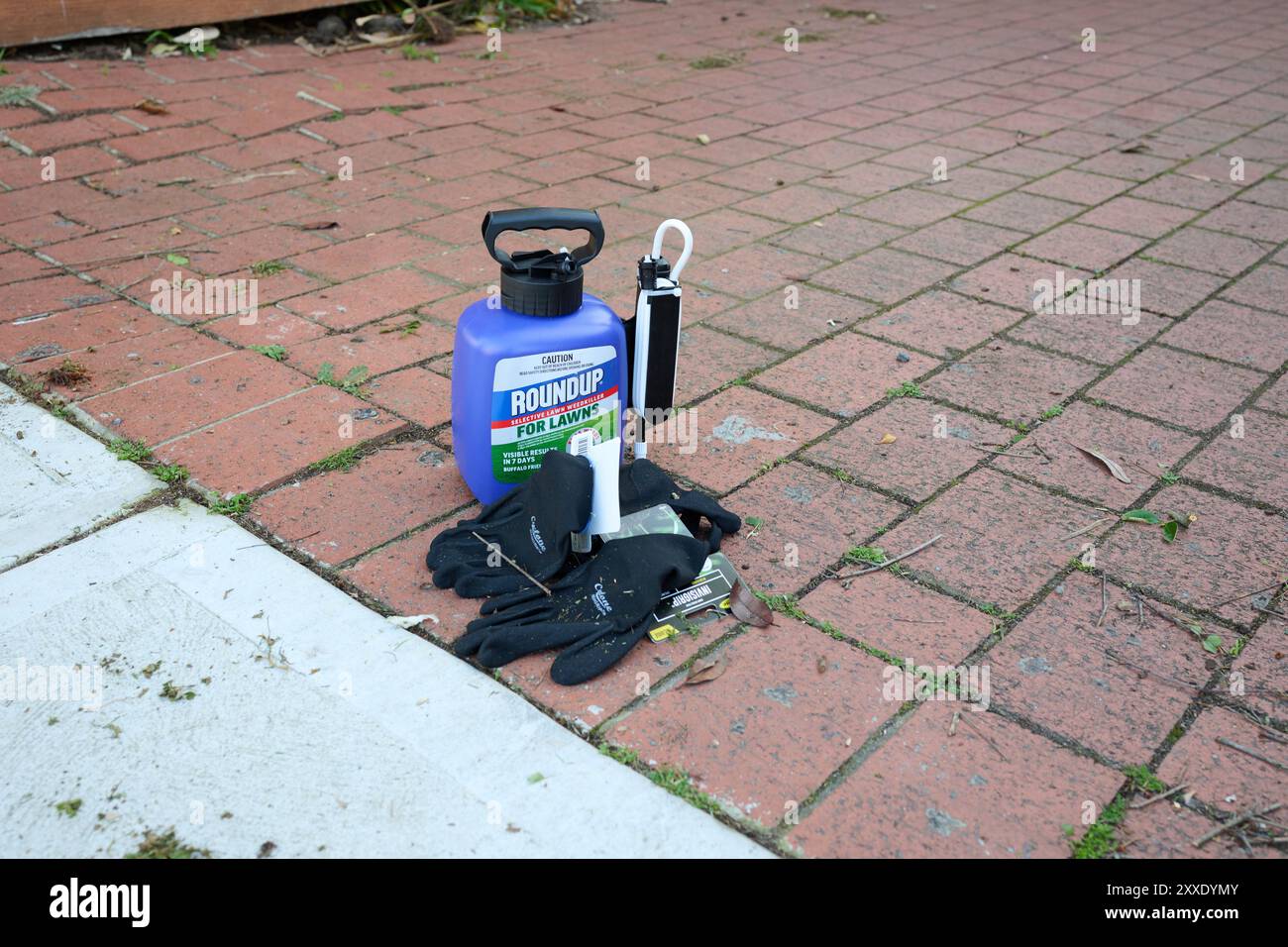 Blue plastic bottle or container of Roundup weedkiller, sitting on a ...