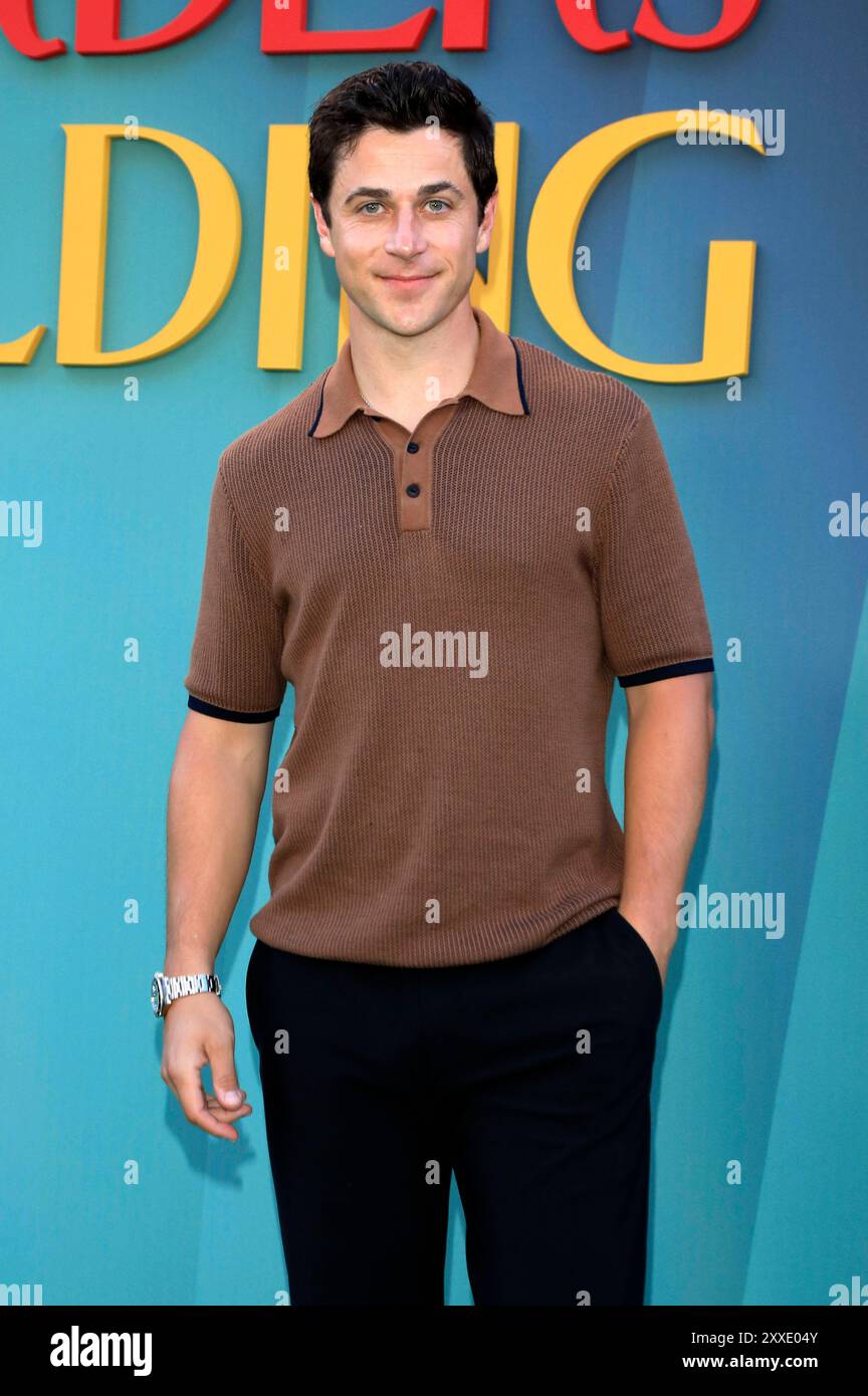 David Henrie bei der Premiere der 4. Staffel der Hulu Serie Only ...