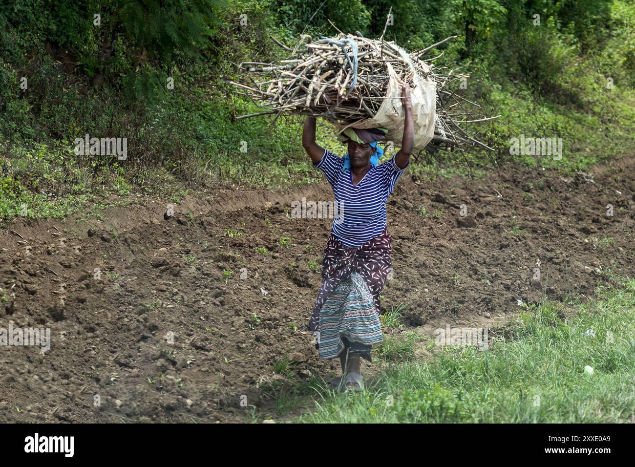 African woman carrying firewood hi-res stock photography and images - Alamy