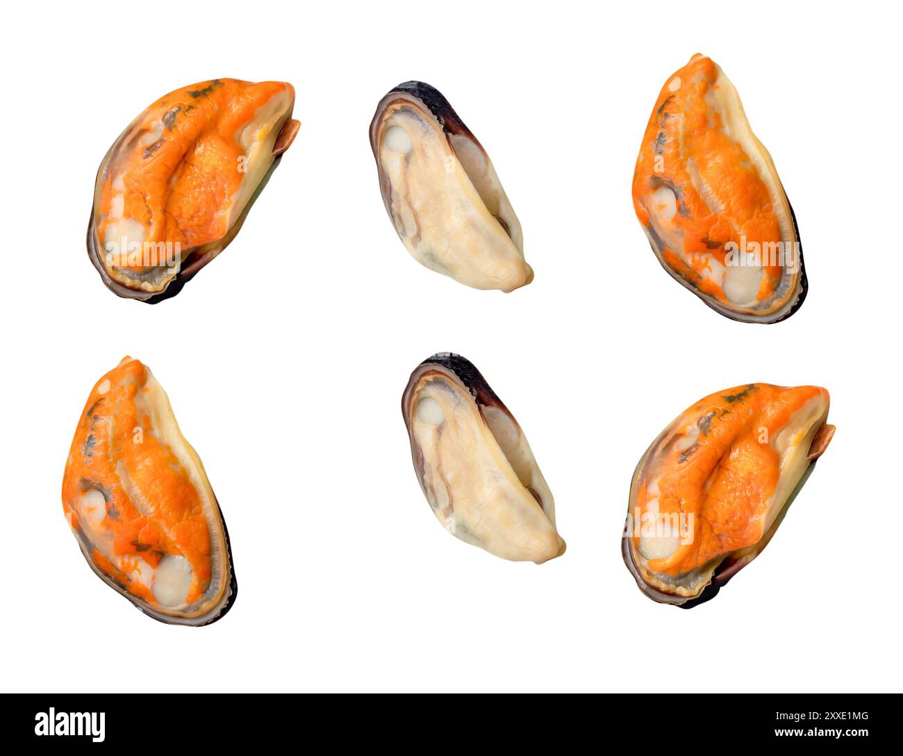 Top view set of steamed or cooked green mussels meat is isolated on ...