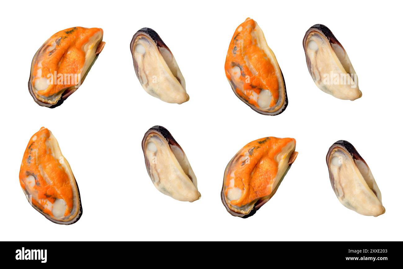 Top view set of steamed or cooked green mussels meat is isolated on ...