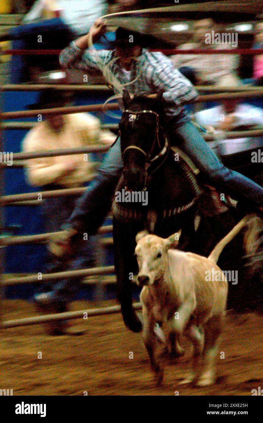 Texas fair and rodeo hi-res stock photography and images - Alamy