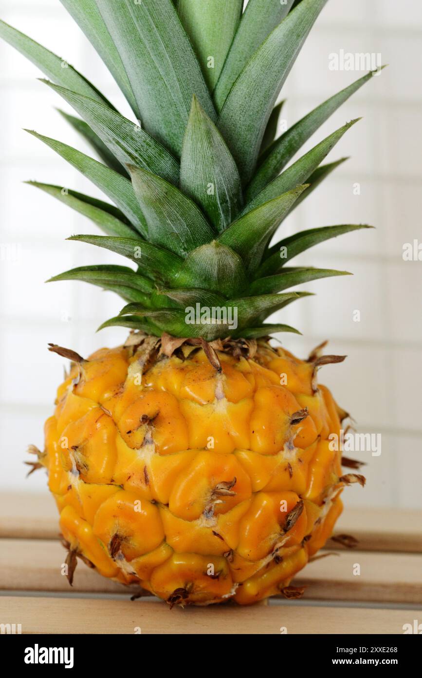 Fresh Pineapple Ananas Stock Photo - Alamy