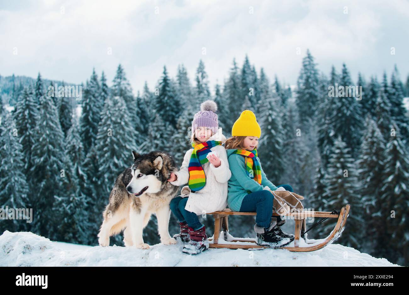 Lapland husky children hi-res stock photography and images - Alamy
