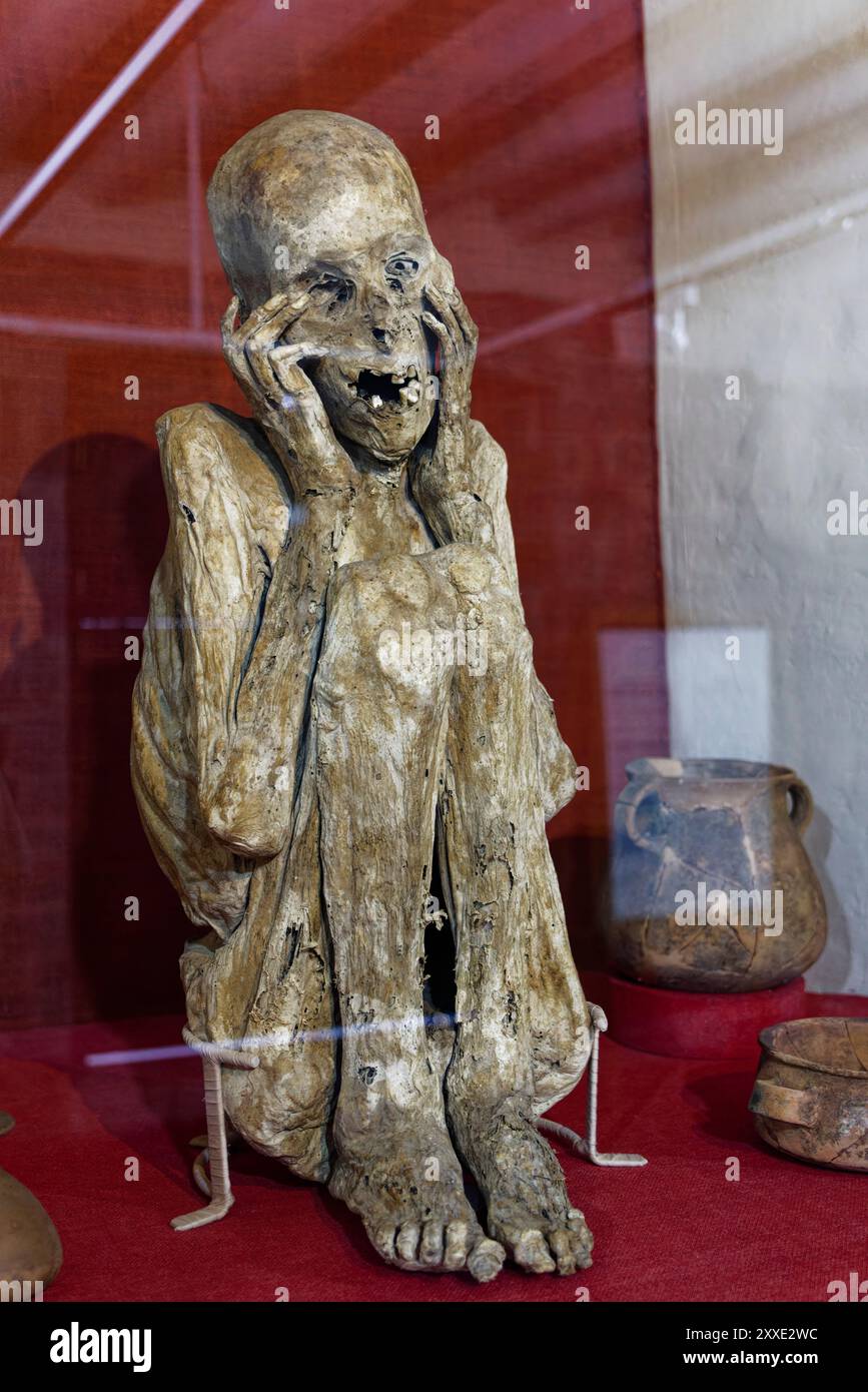 Cuzco, Peru. 8th Jan, 2024. Mummy of a person between 50 and 60 years ...