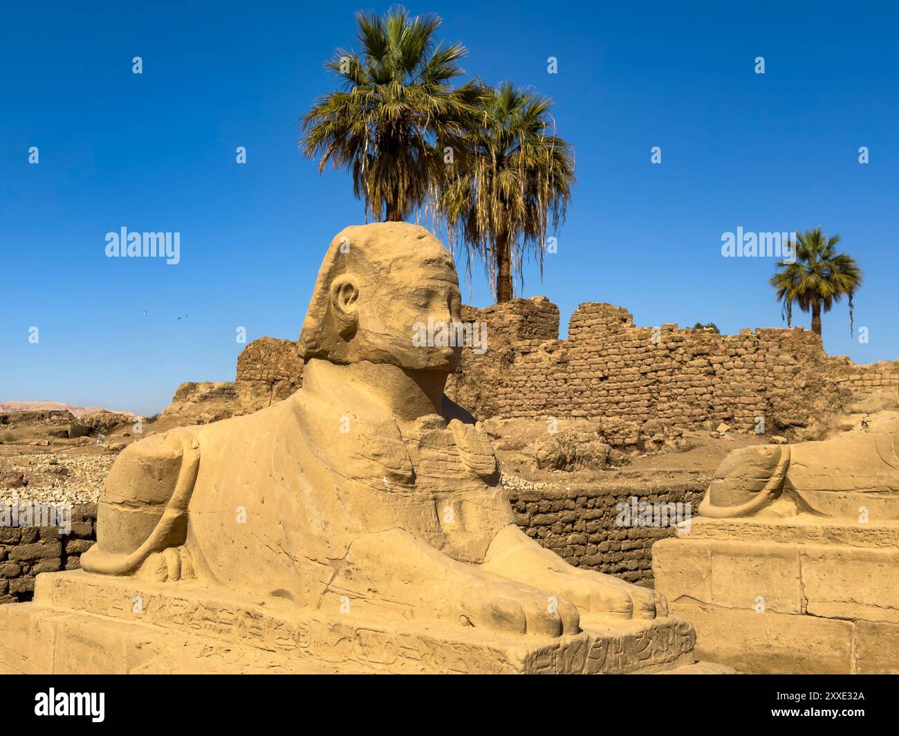 Timeless sentinels, the sphinxes of the Avenue of the Sphinxes have ...