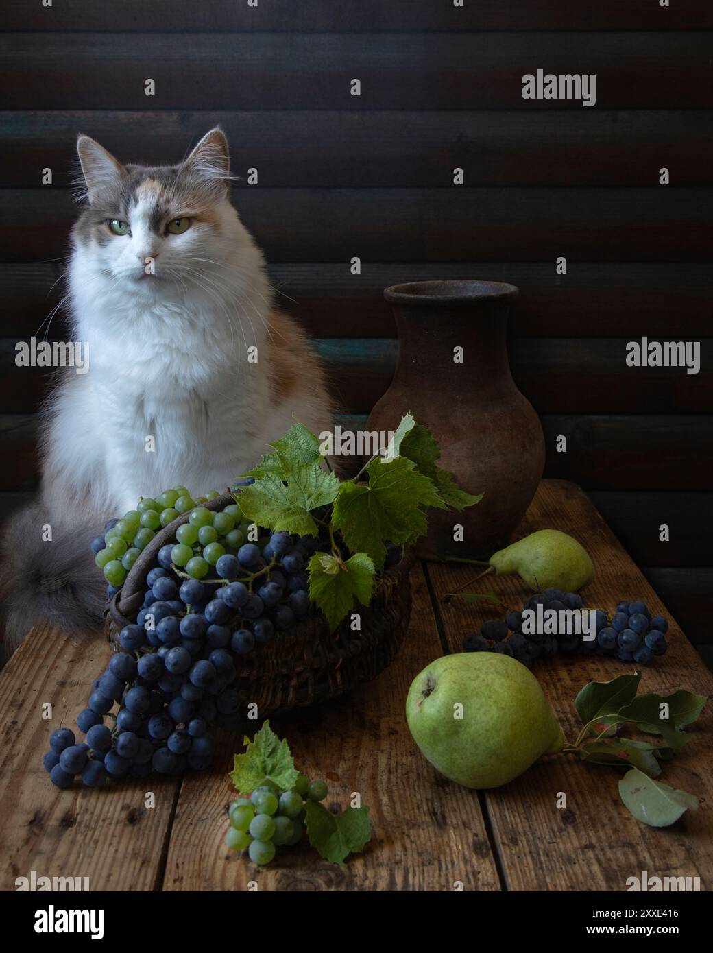 Still life with basket of grapes and curious kitty Stock Photo - Alamy