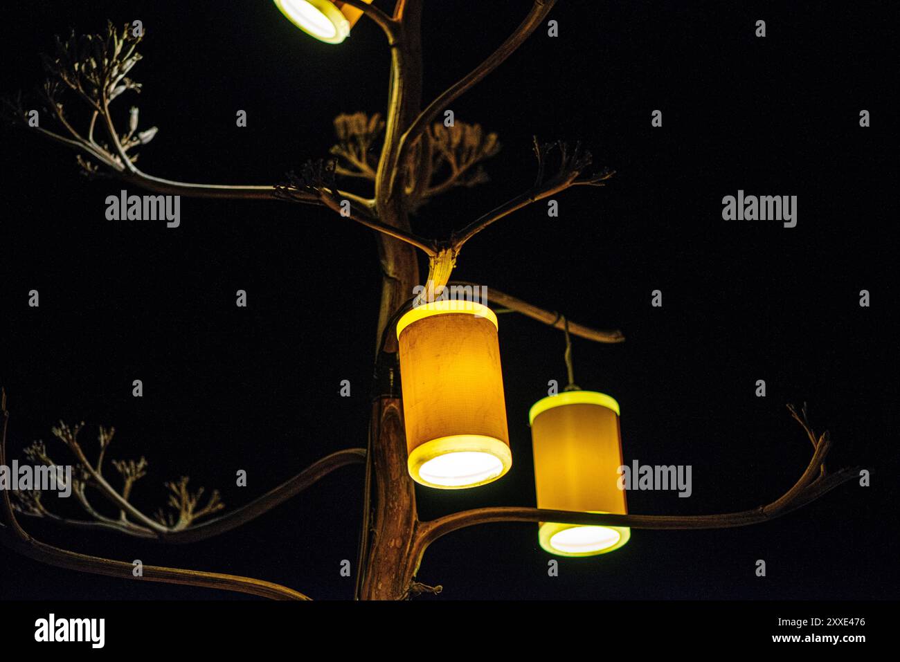 A captivating night scene featuring shining lanterns hanging from a ...